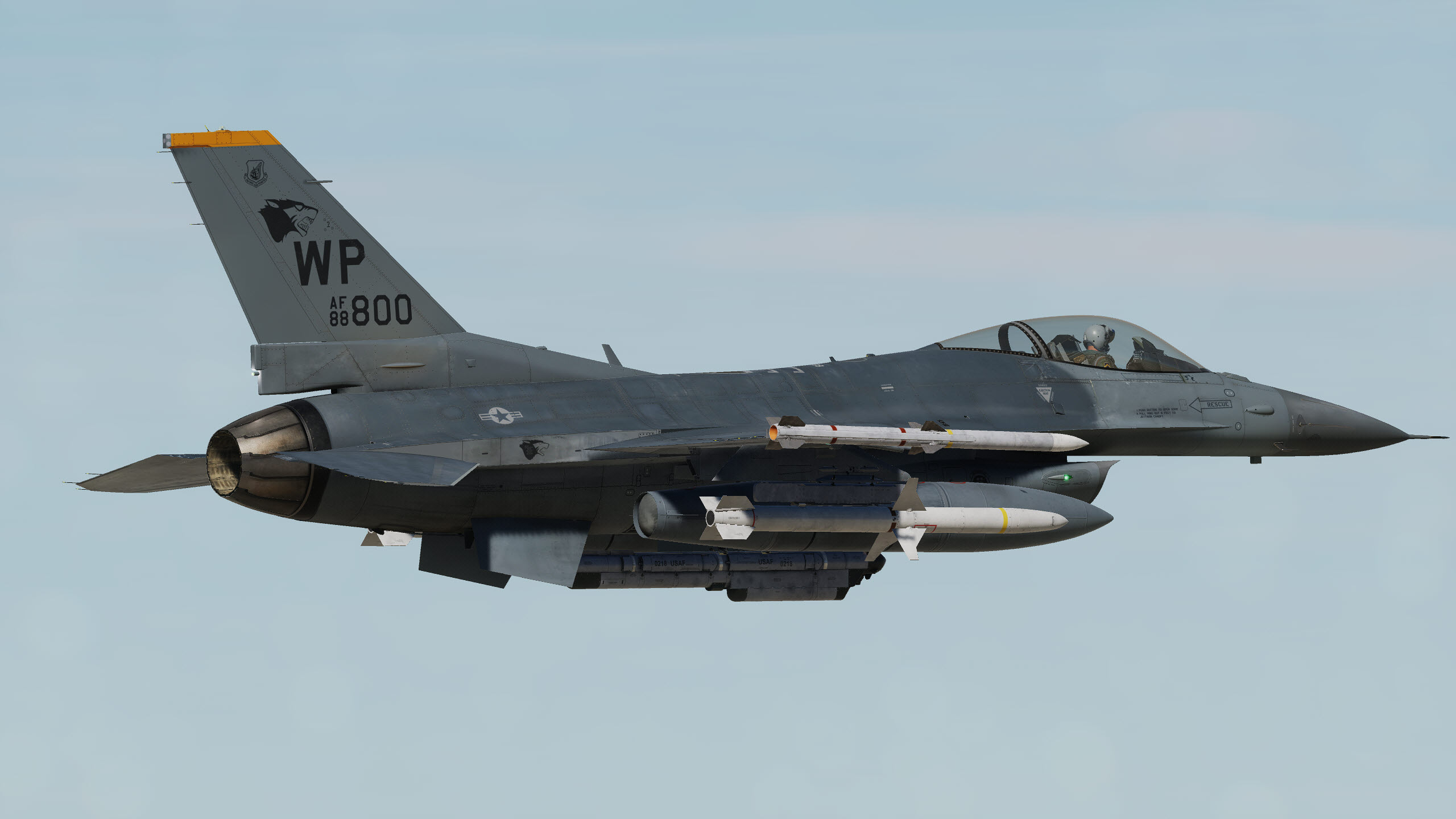 80th Fighter Squadron Wolf Pack
